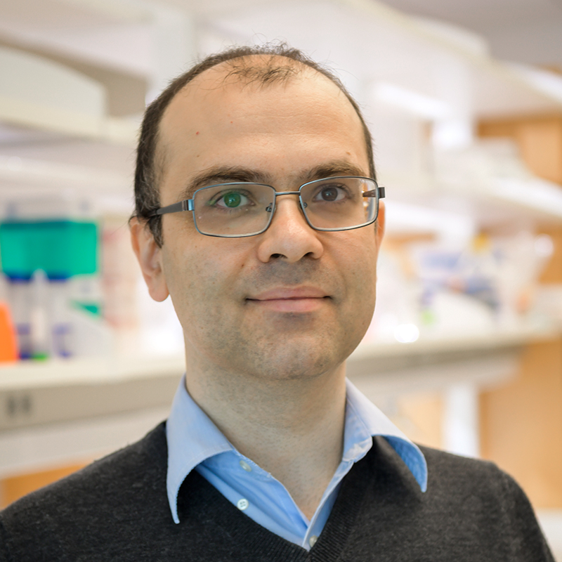 Michalis Agathokleous, Ph.D. - Faculty Profile - UT Southwestern