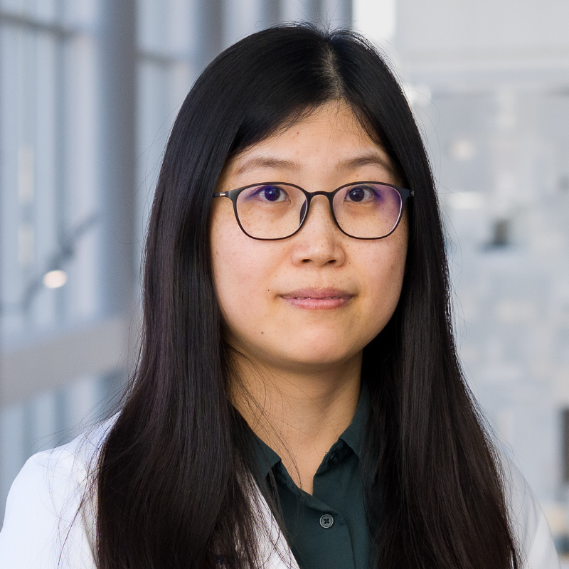 Liyuan Chen, Ph.D. - Faculty Profile - UT Southwestern