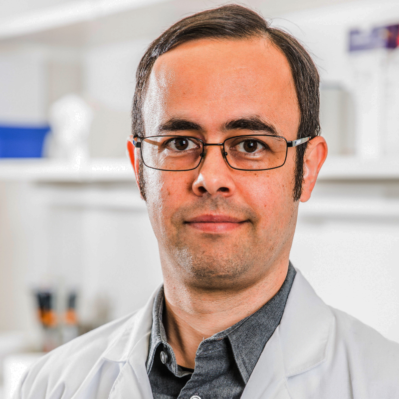 Benjamin Weaver, Ph.D. - Faculty Profile - UT Southwestern