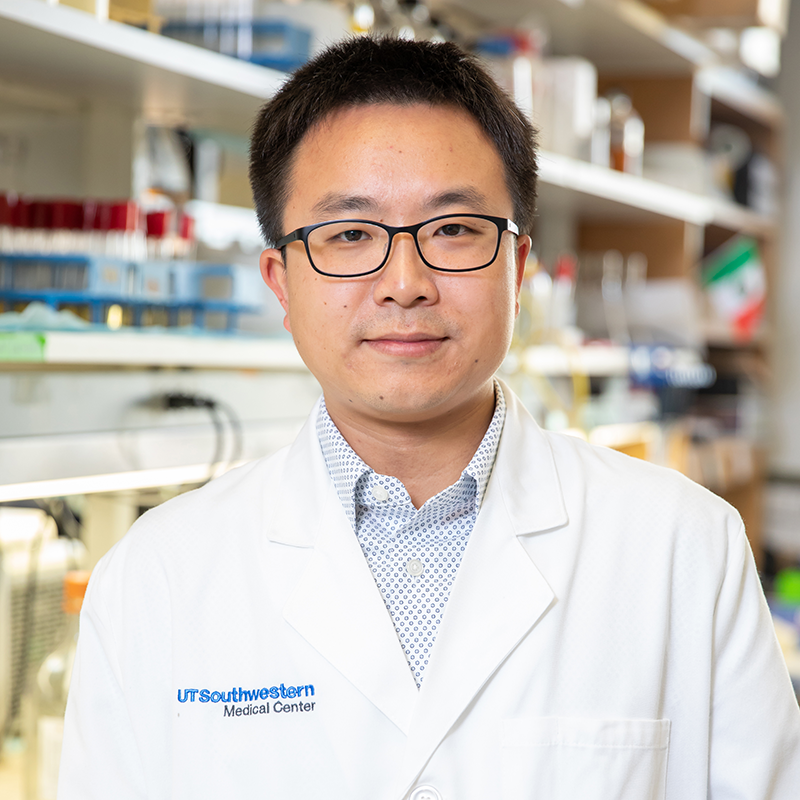 Lu Sun, Ph.D. - Faculty Profile - UT Southwestern