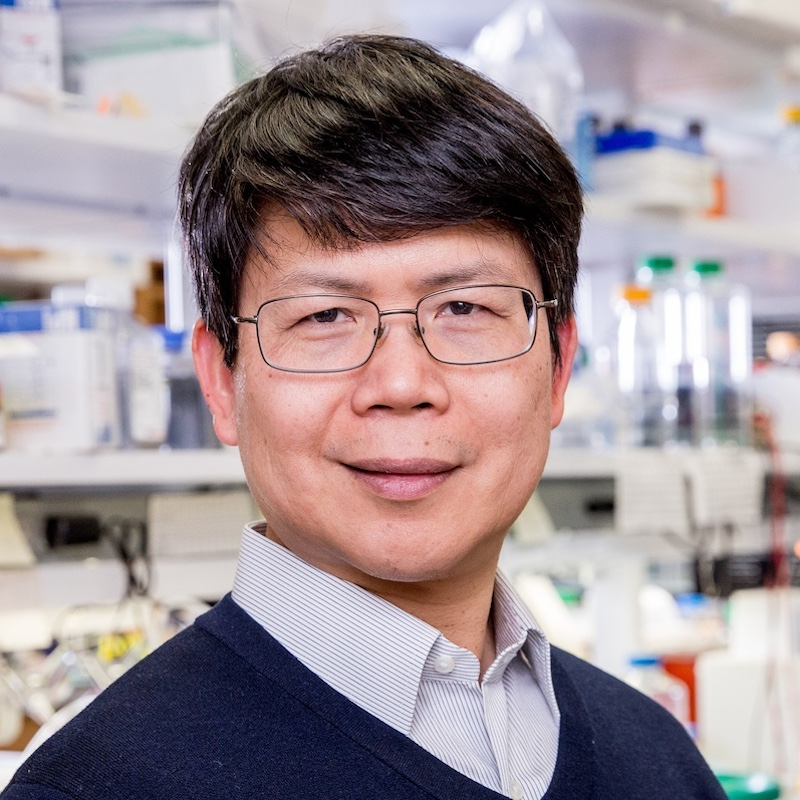 Zhijian Chen, Ph.D. - Faculty Profile - UT Southwestern